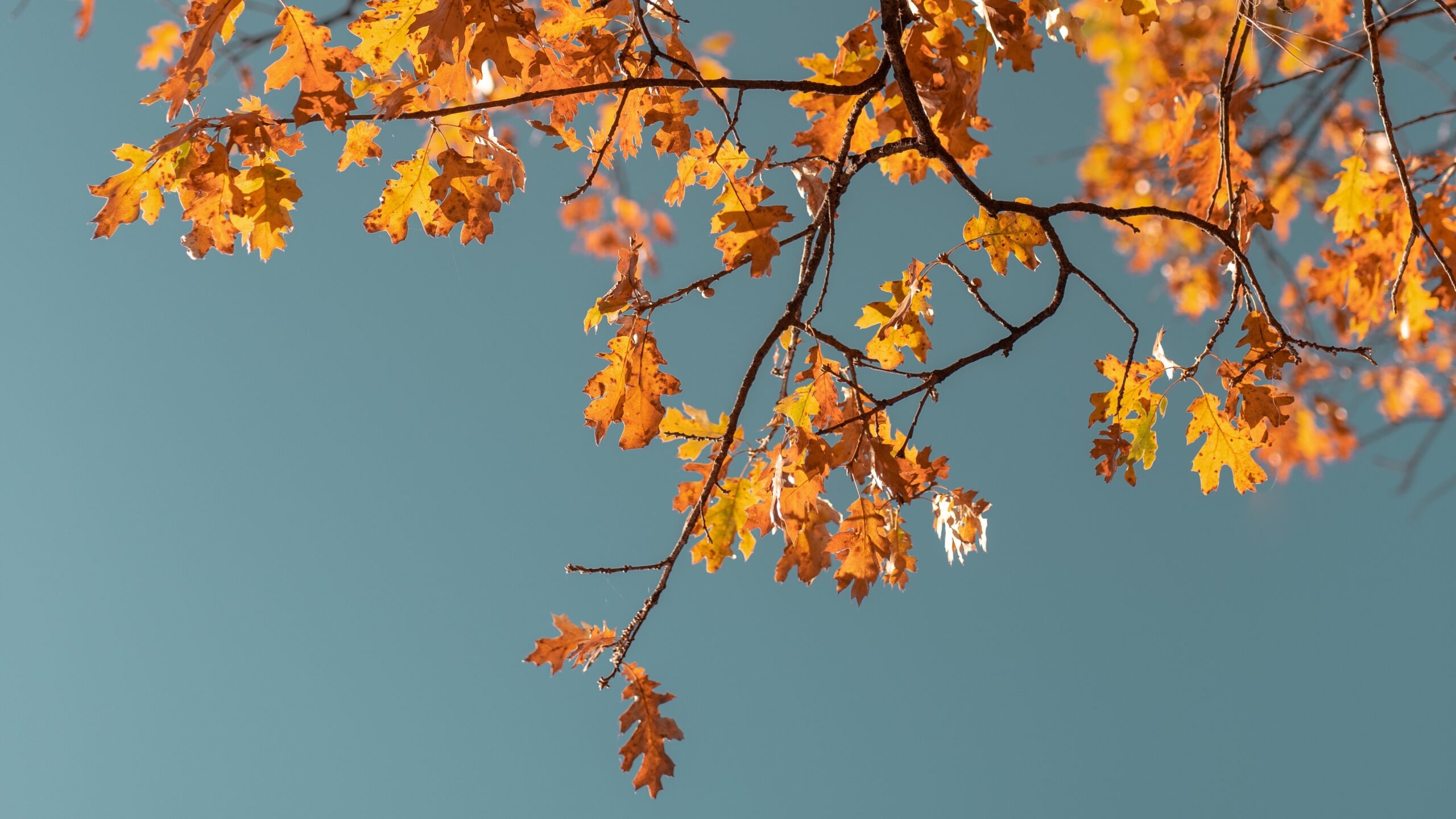 Autumn Statement 2023: A simple guide - Burton Sweet