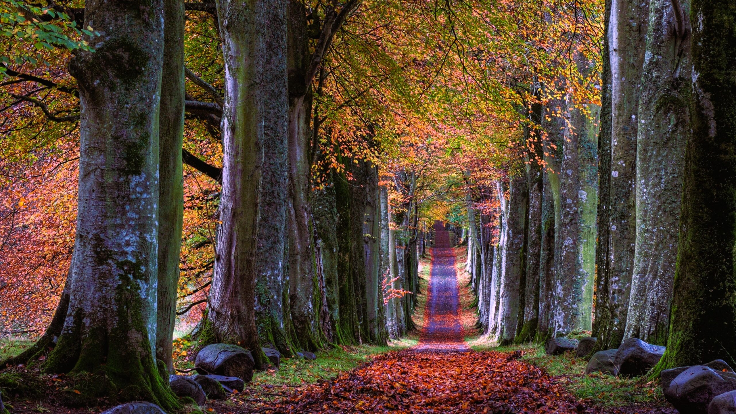 How will the Autumn Budget 2024 affect charities? - Burton Sweet